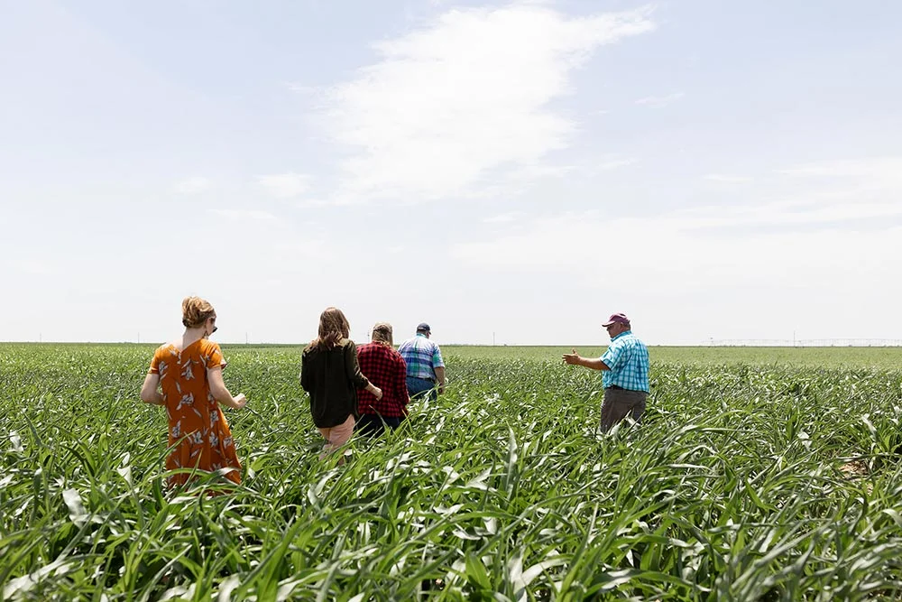 What the BCI Cotton label means - Better Cotton Initiative