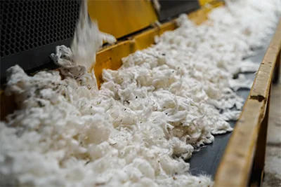 BCI Platform - Better Cotton Initiative