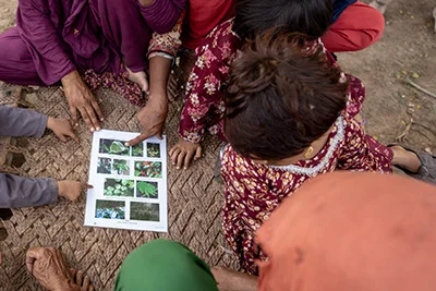 What the BCI Cotton label means - Better Cotton Initiative