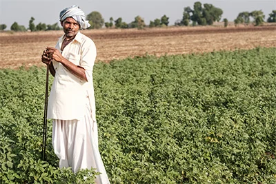 What the BCI Cotton label means - Better Cotton Initiative