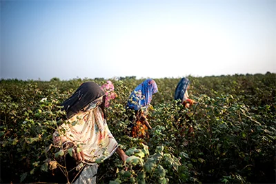 What the BCI Cotton label means - Better Cotton Initiative