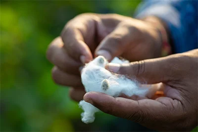 Que signifie le label BCI Cotton ? - Better Cotton Initiative