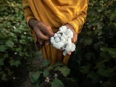 What the BCI Cotton label means - Better Cotton Initiative