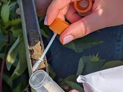 What the BCI Cotton label means - Better Cotton Initiative