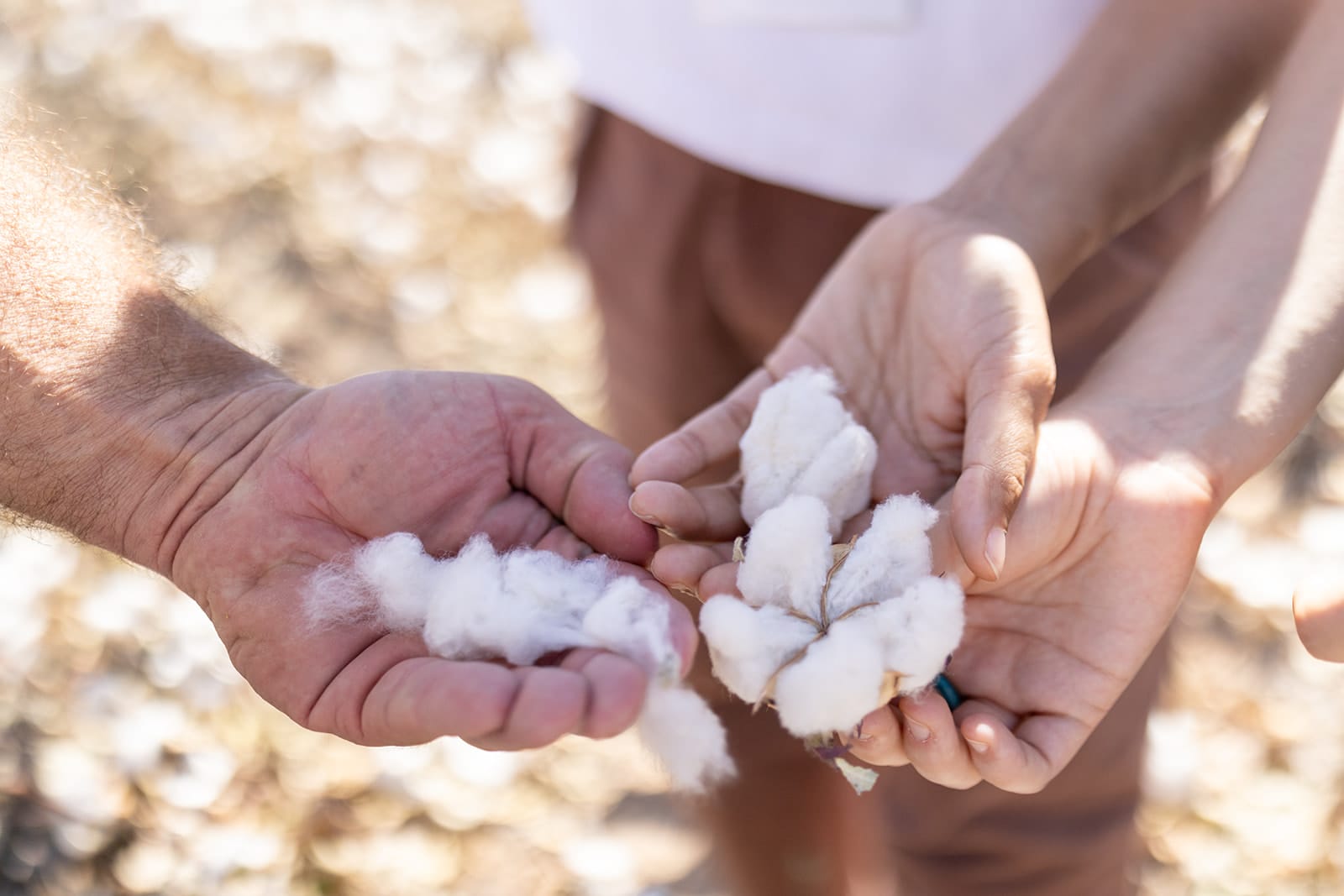 Our membership - Better Cotton Initiative