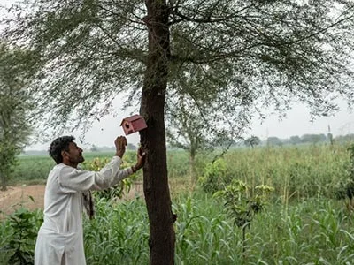 Important Better Cotton Platform Updates - Better Cotton Initiative