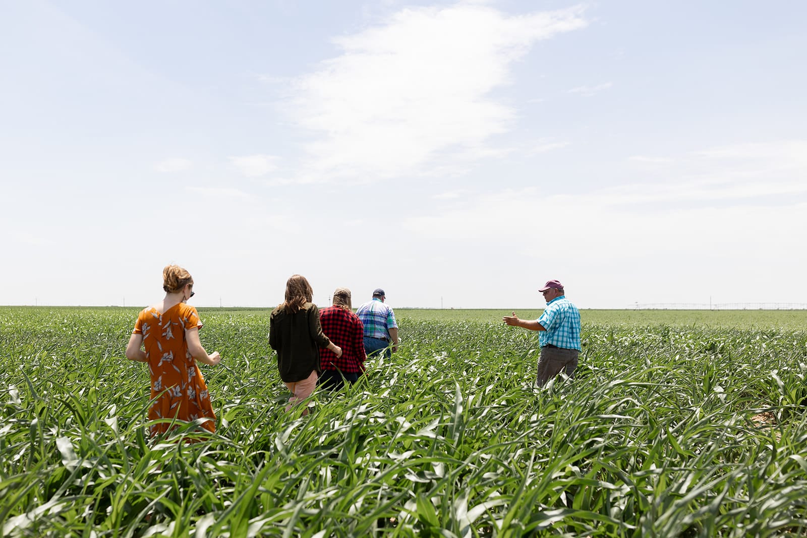 Better Cotton Initiative Marks World Cotton Day With Launch of ...