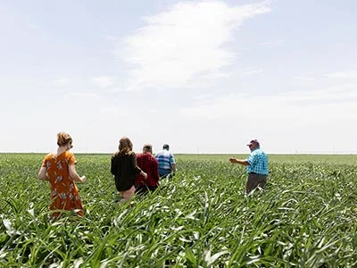 What the BCI Cotton label means - Better Cotton Initiative