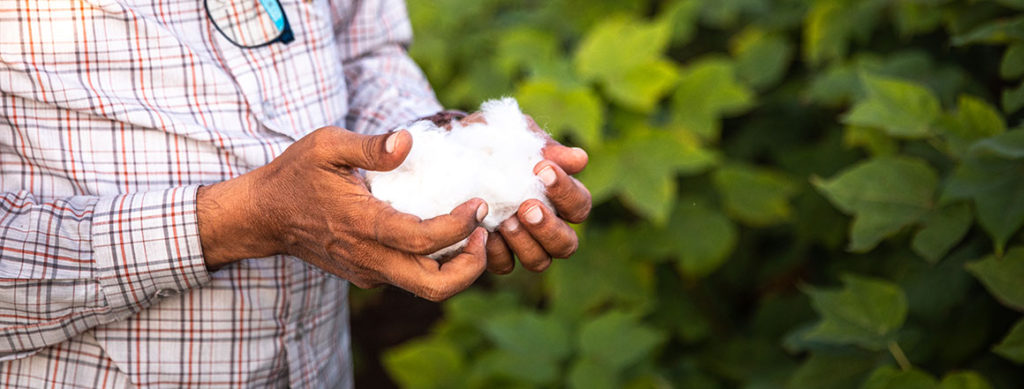 Home - Better Cotton Initiative