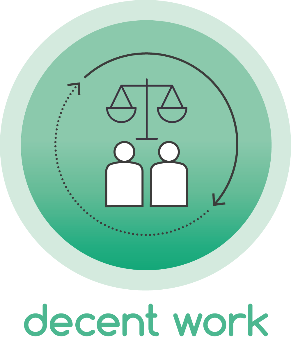 Defining 'Better': the Better Cotton Principles and Criteria