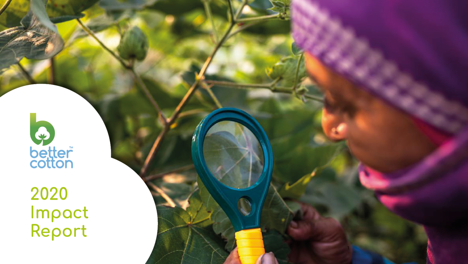 New Report Demonstrates the Impact of the Better Cotton Programme ...