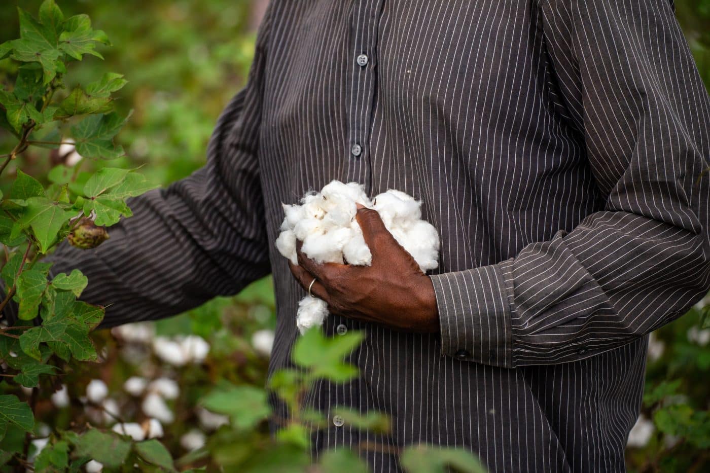 How Better Cotton promotes decent working conditions around the world