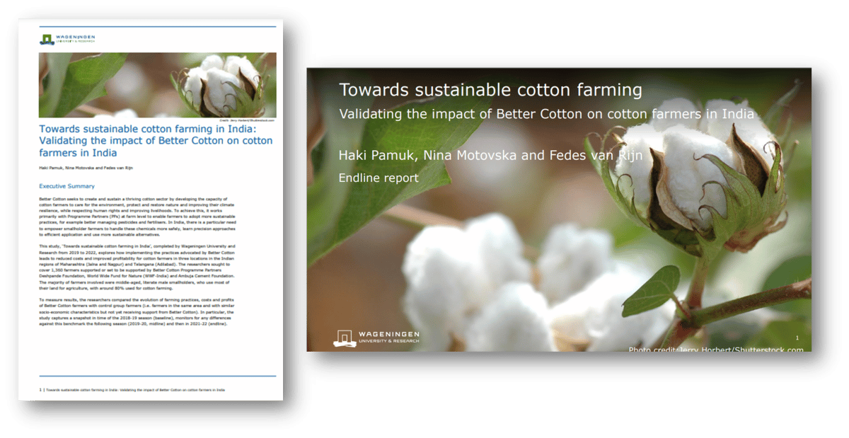 New study on Better Cotton’s impact in India shows improved ...