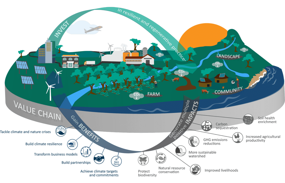 Carbon Insetting: What Is It, and How Does It Differ From Carbon ...