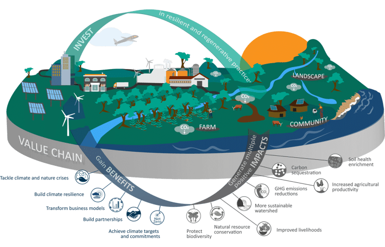 Carbon Insetting: What Is It, and How Does It Differ From Carbon ...