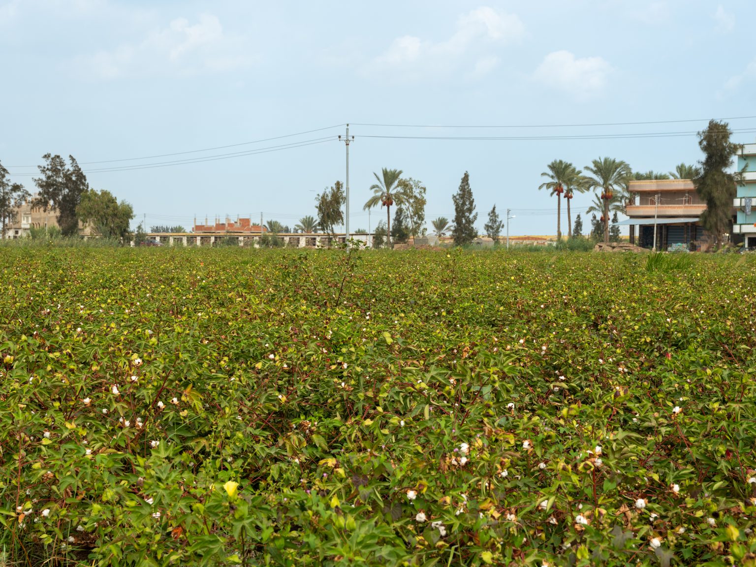 Egypt and Türkiye Field Trips Give First-Hand Insights into Sustainable ...