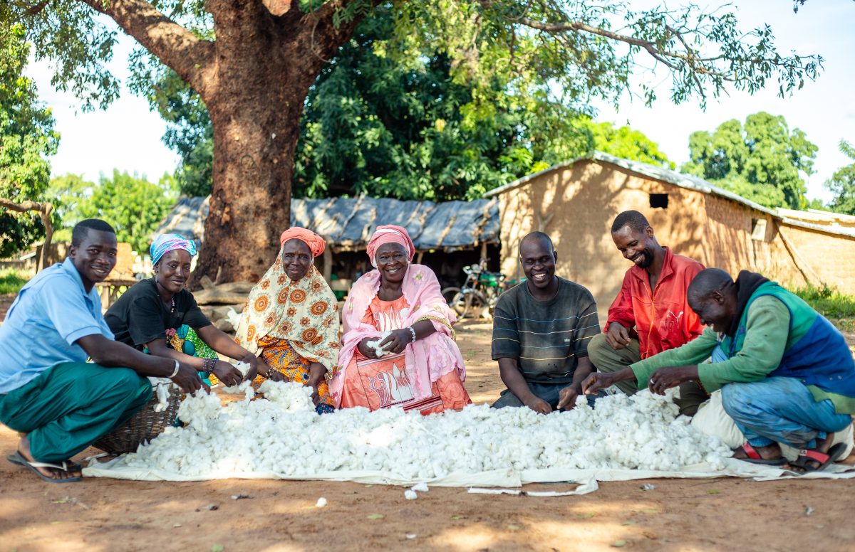 Labour and Human Rights Risk Analysis Tool - Better Cotton Initiative