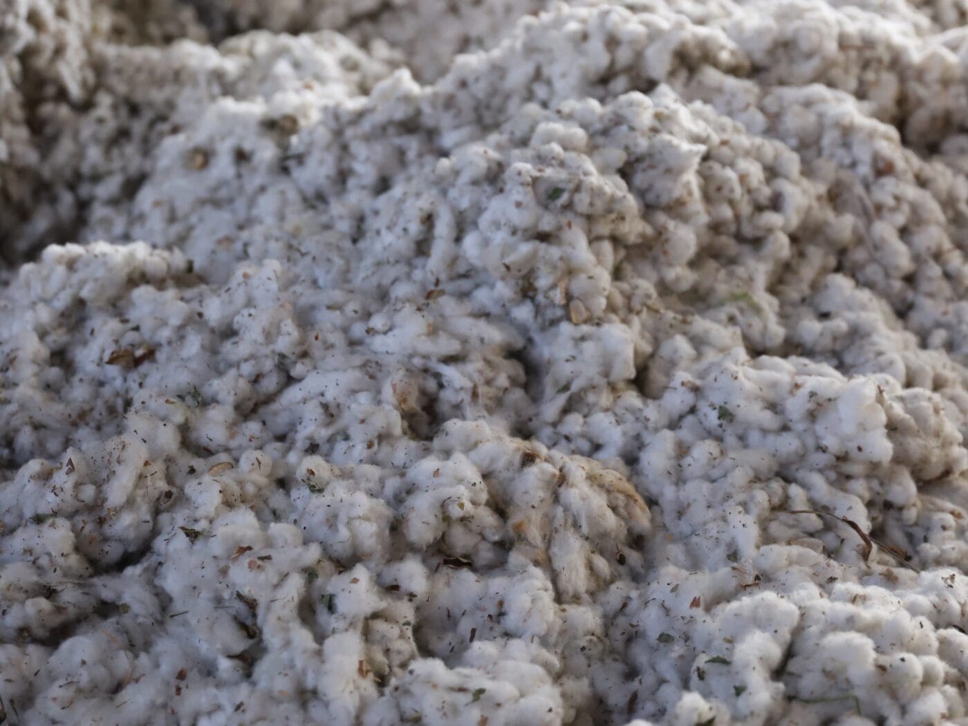 Better Cotton Traceability: Looking Back on a Year of Progress - Better ...