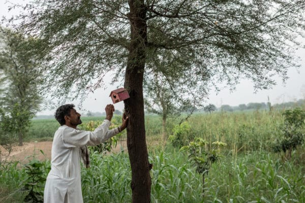 Enhancing Biodiversity in Cotton Farming: A Scalable Methodology ...