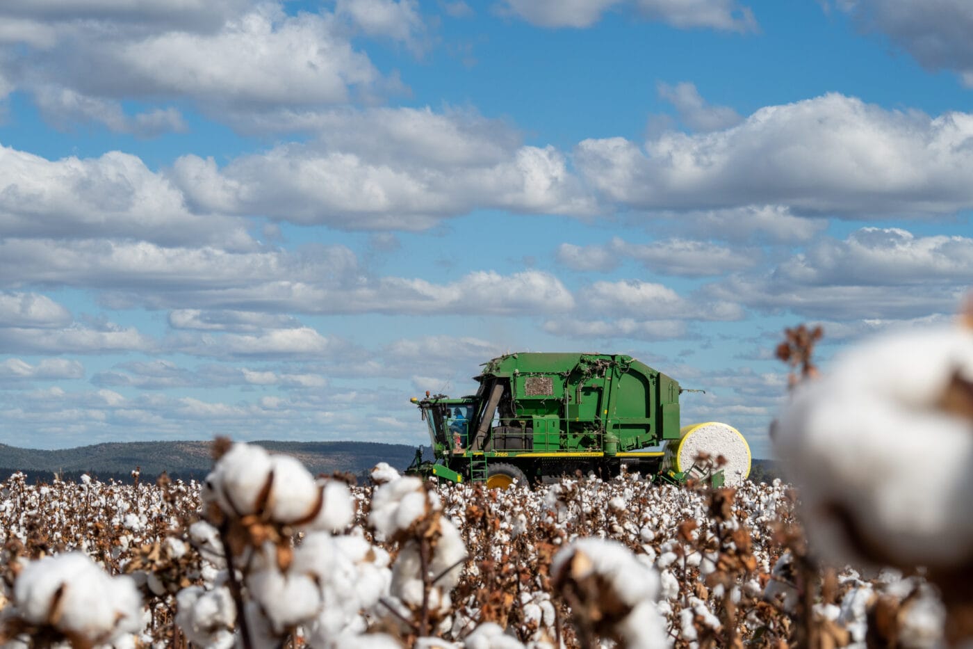 Better Cotton Extends Partnership with Cotton Australia - Better Cotton