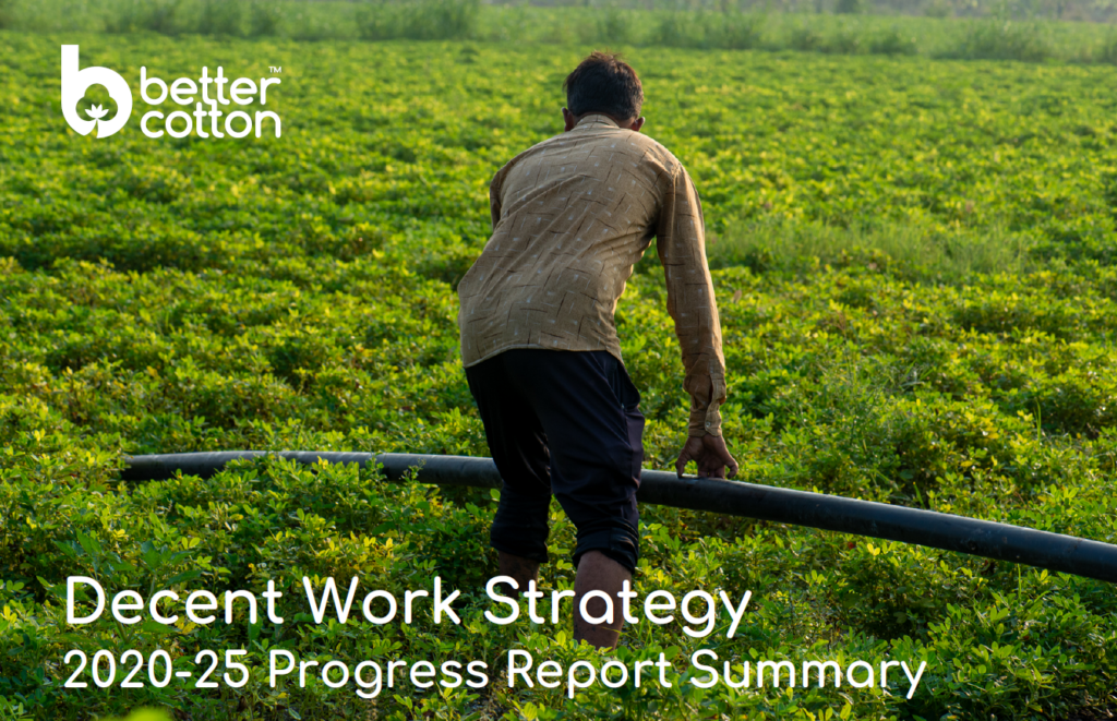 Decent Work Strategy: 2020-25 Progress Report Summary - Better Cotton ...