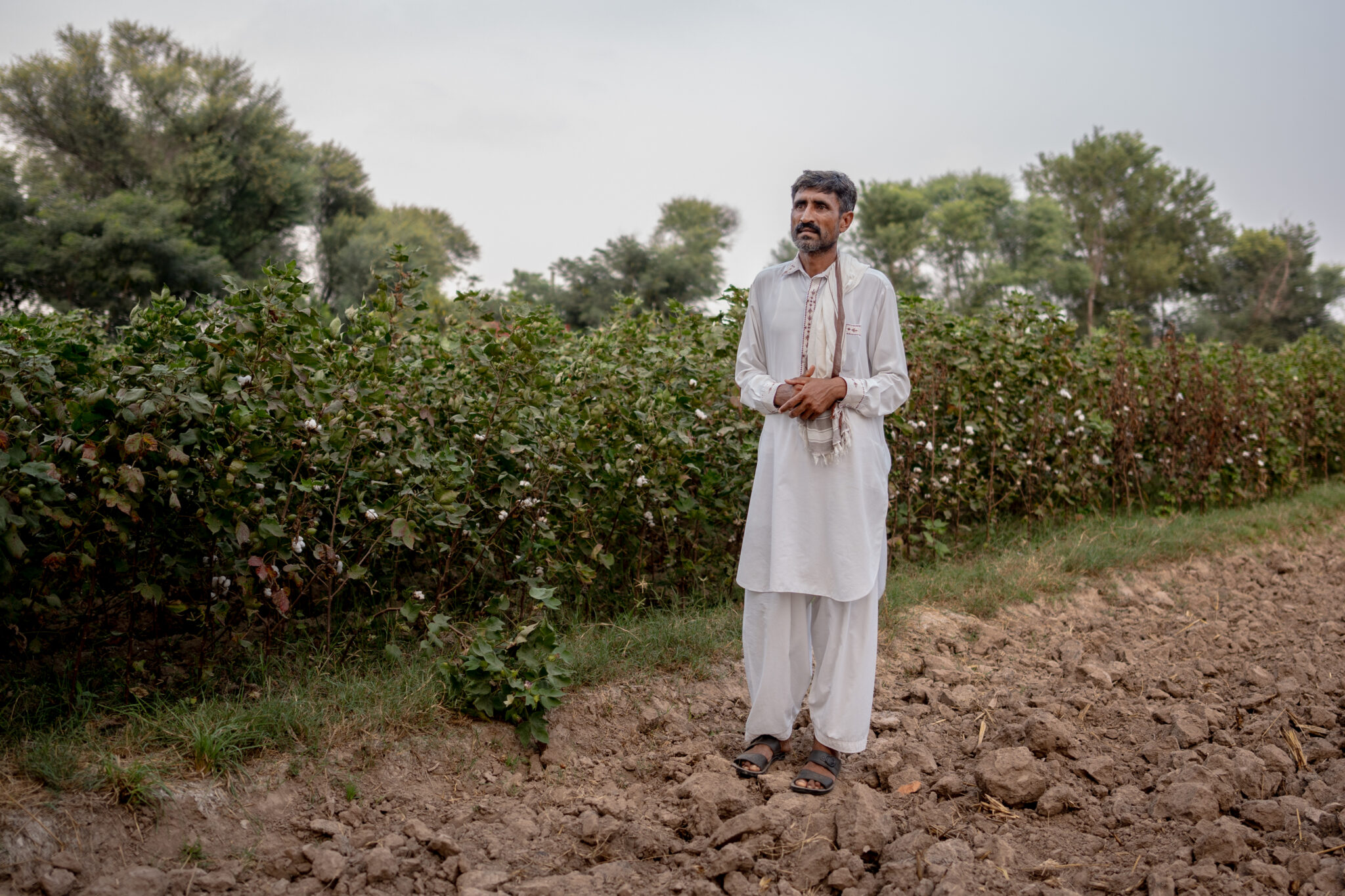 Cultivating Biodiversity: How Pakistani Farmers Revive Nature While ...