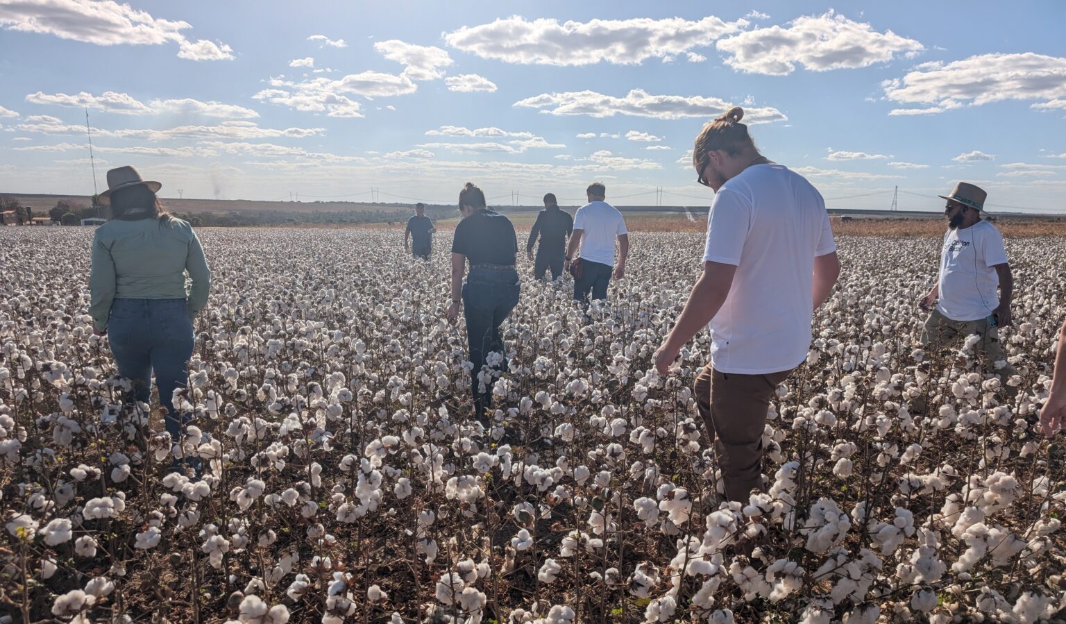 Large Farm Week 2025: Representatives From Better Cotton’s Large Farm ...