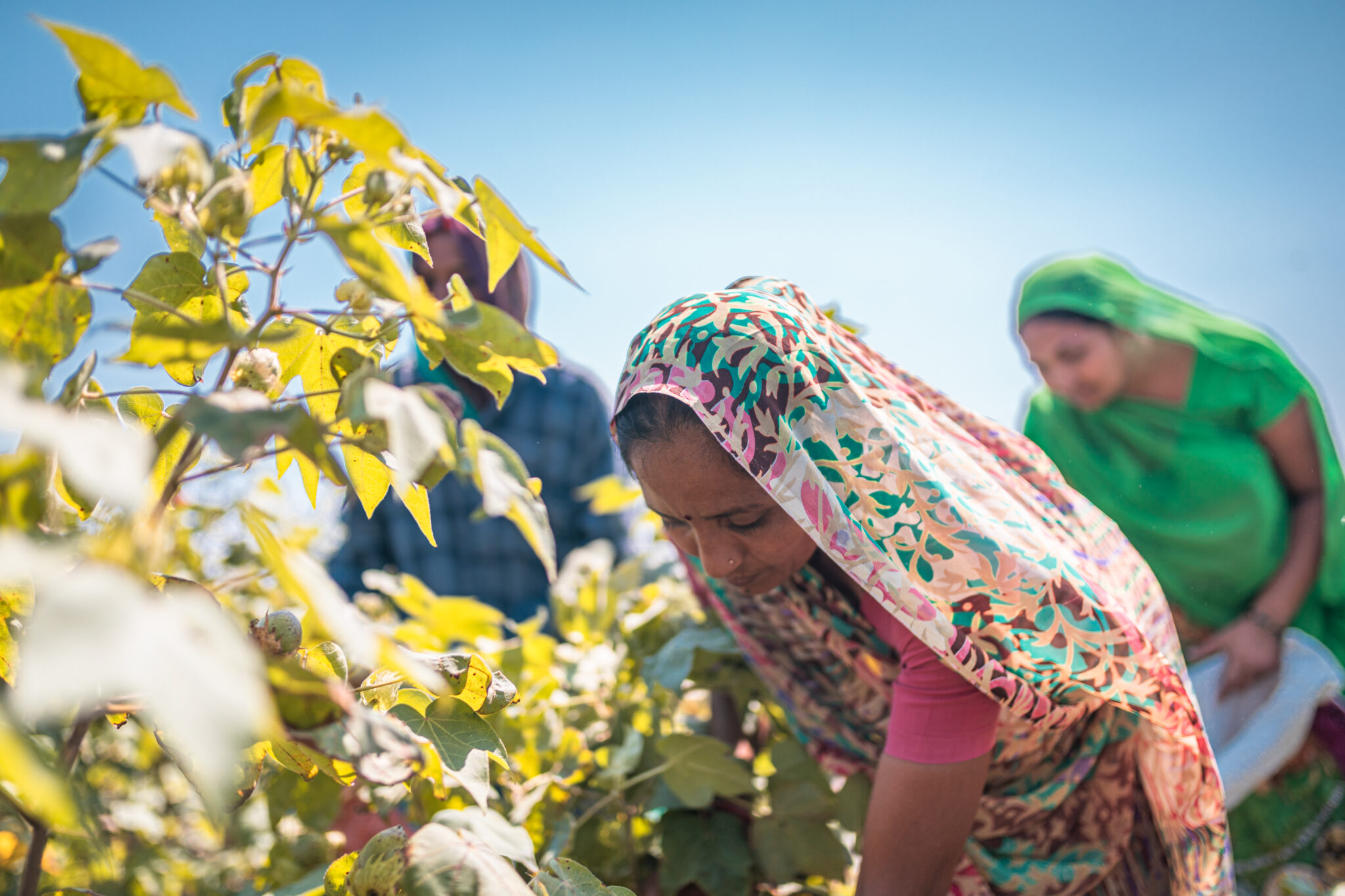 Who we are - Better Cotton Initiative