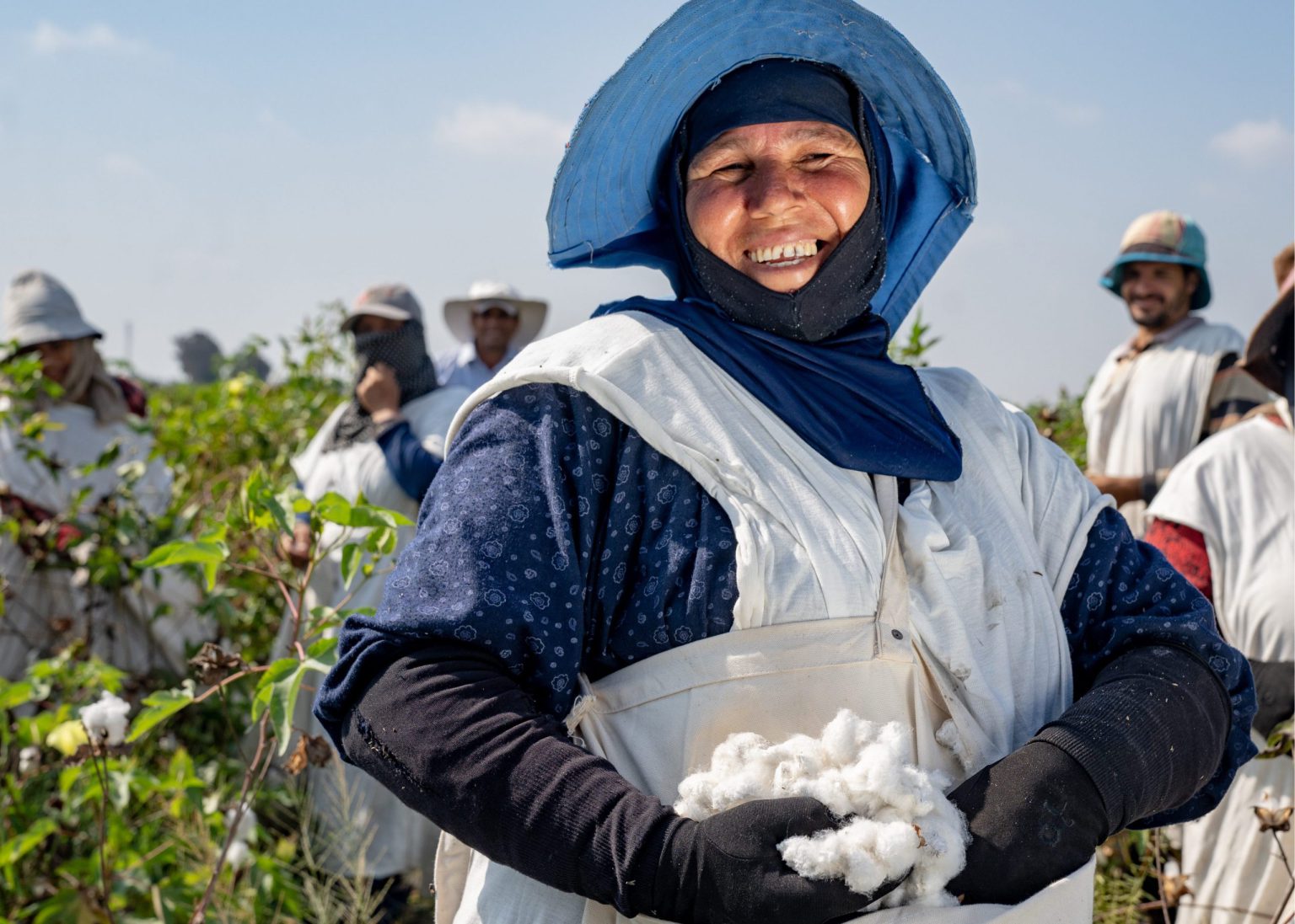 Better Cotton Initiative in Egypt - Better Cotton Initiative