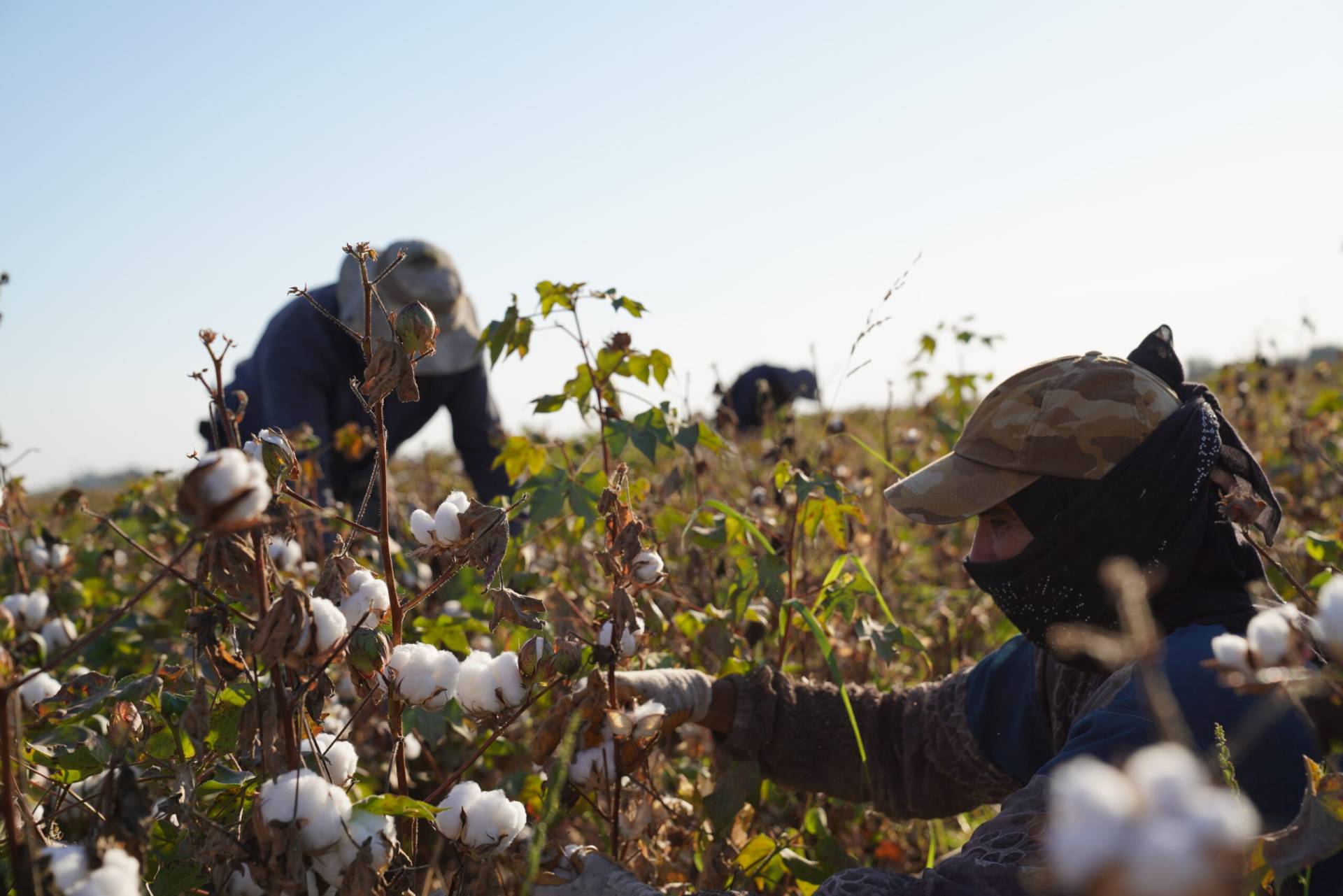 The world doesn’t just need cotton, it needs Better Cotton.