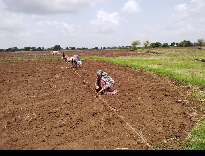 The world doesn’t just need cotton, it needs Better Cotton.